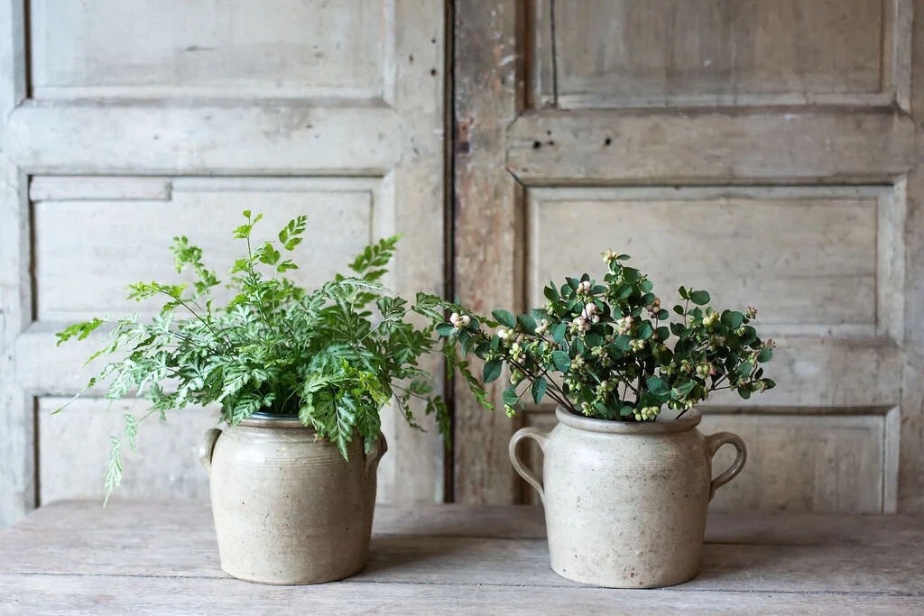 French Stoneware Crocks - Styles, History & Decorating with Vintage Crocks