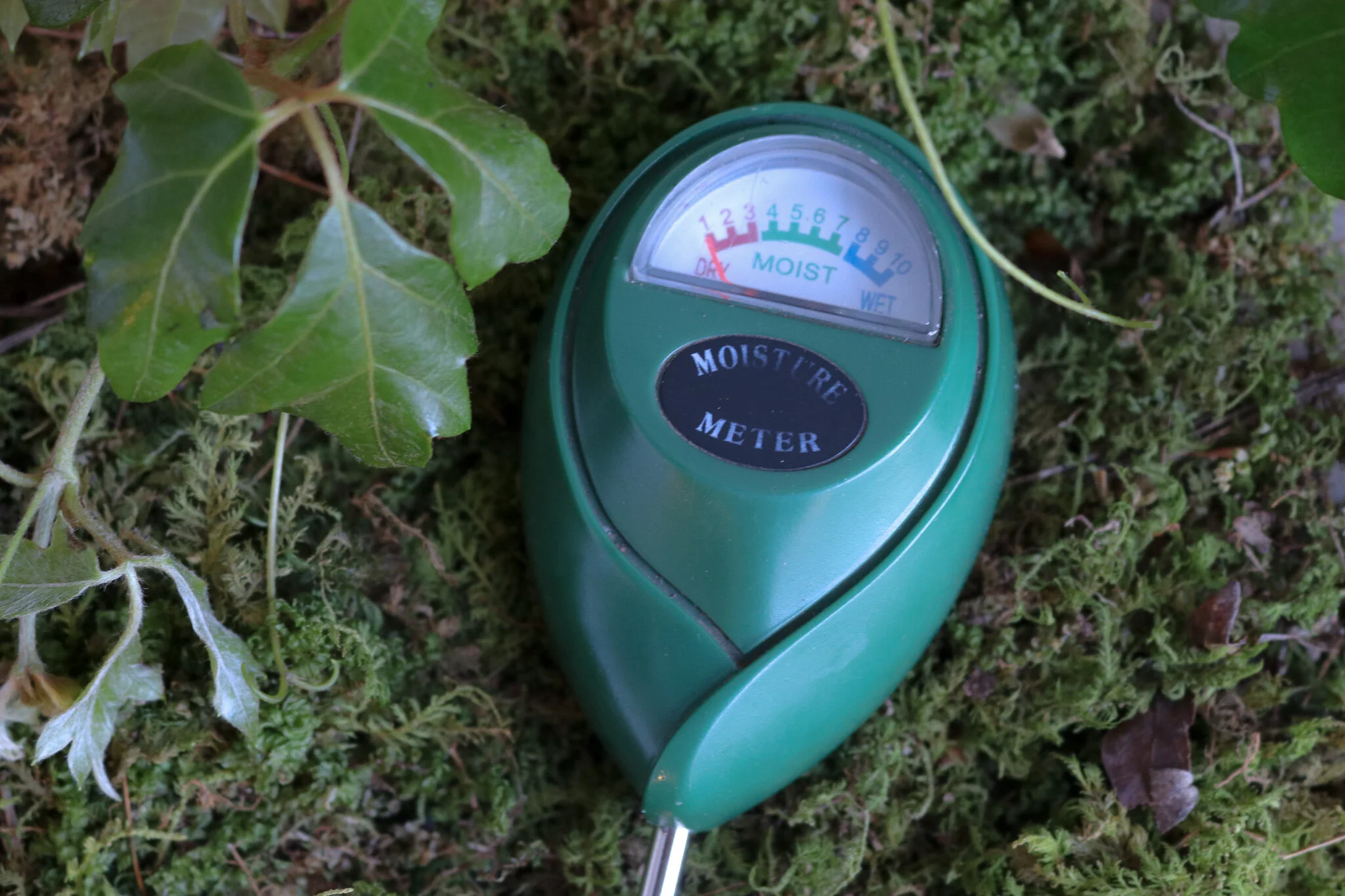 Plant Moisture Meter