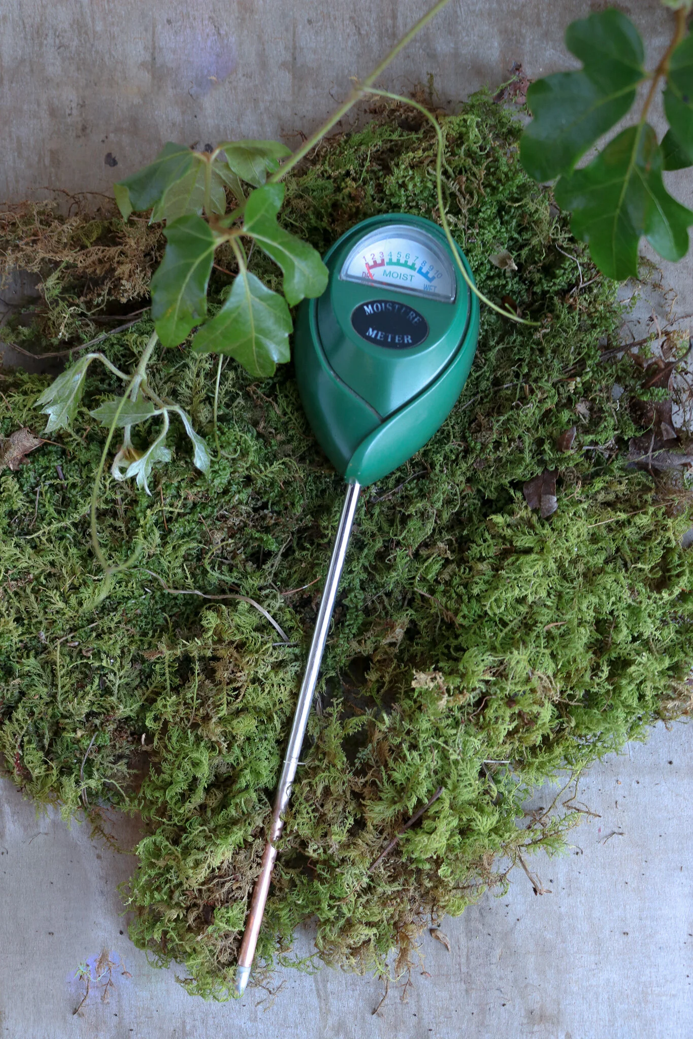 Plant Moisture Meter