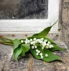 May Day