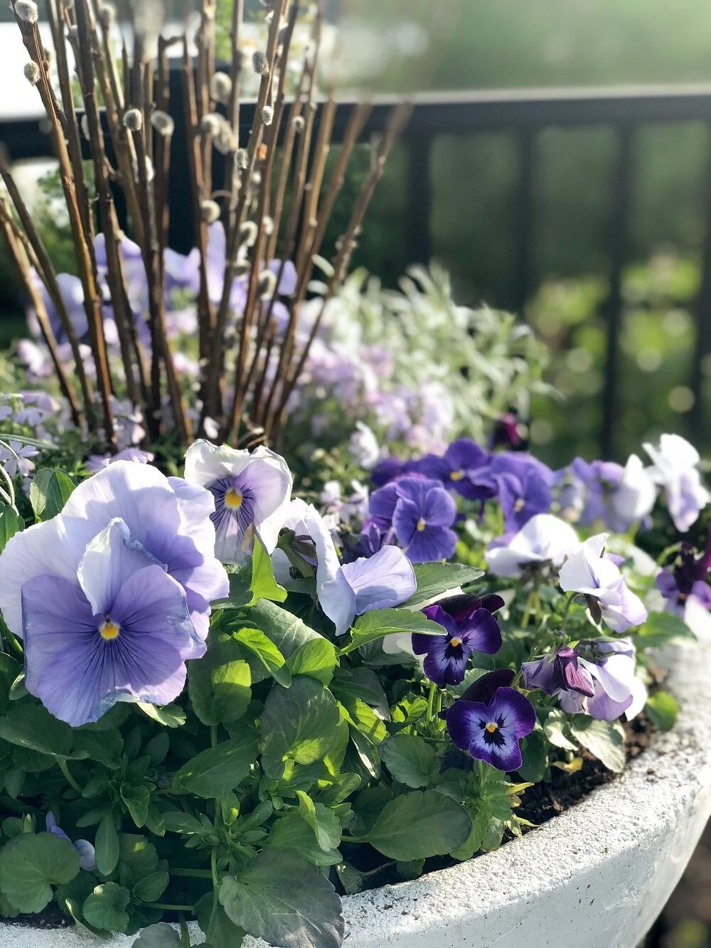 Garden Planters