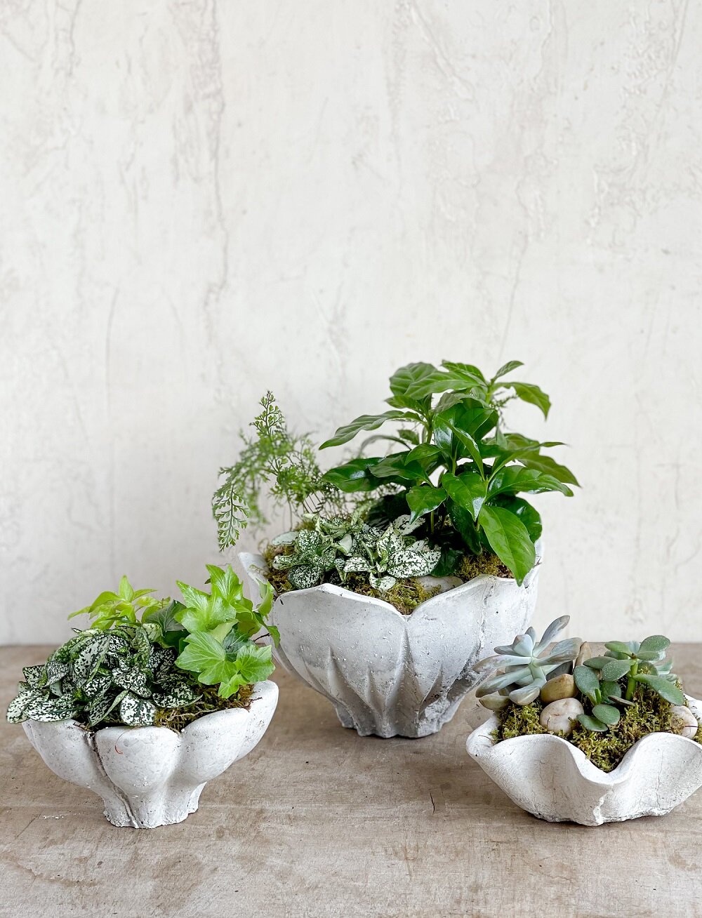 Indoor Planters Outdoor & Gardening Cement Pot Concrete Planter 6 Tulip ...