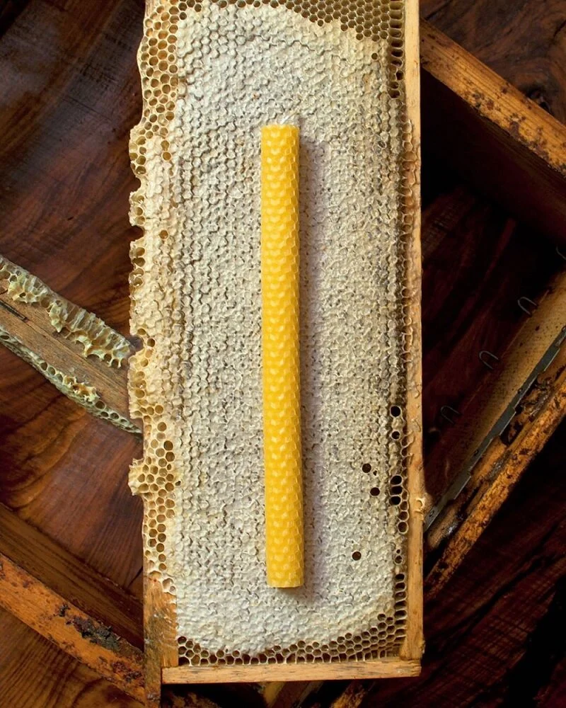 About French Candlemaker Apis Cera