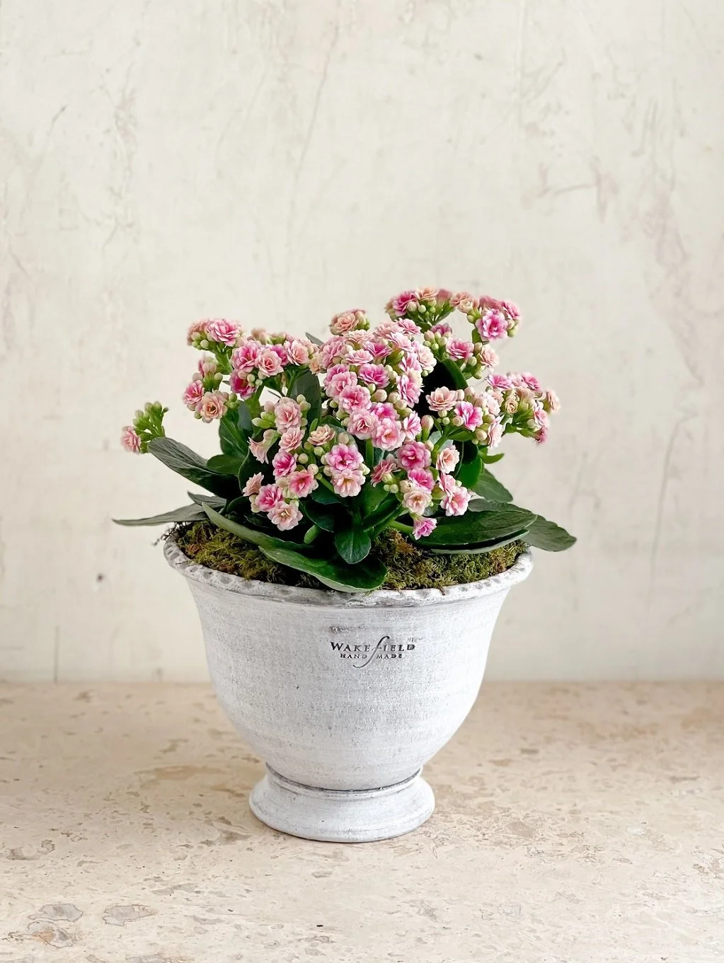 Andover Florist | Same Day Delivery by Les Fleurs | French Floral Design