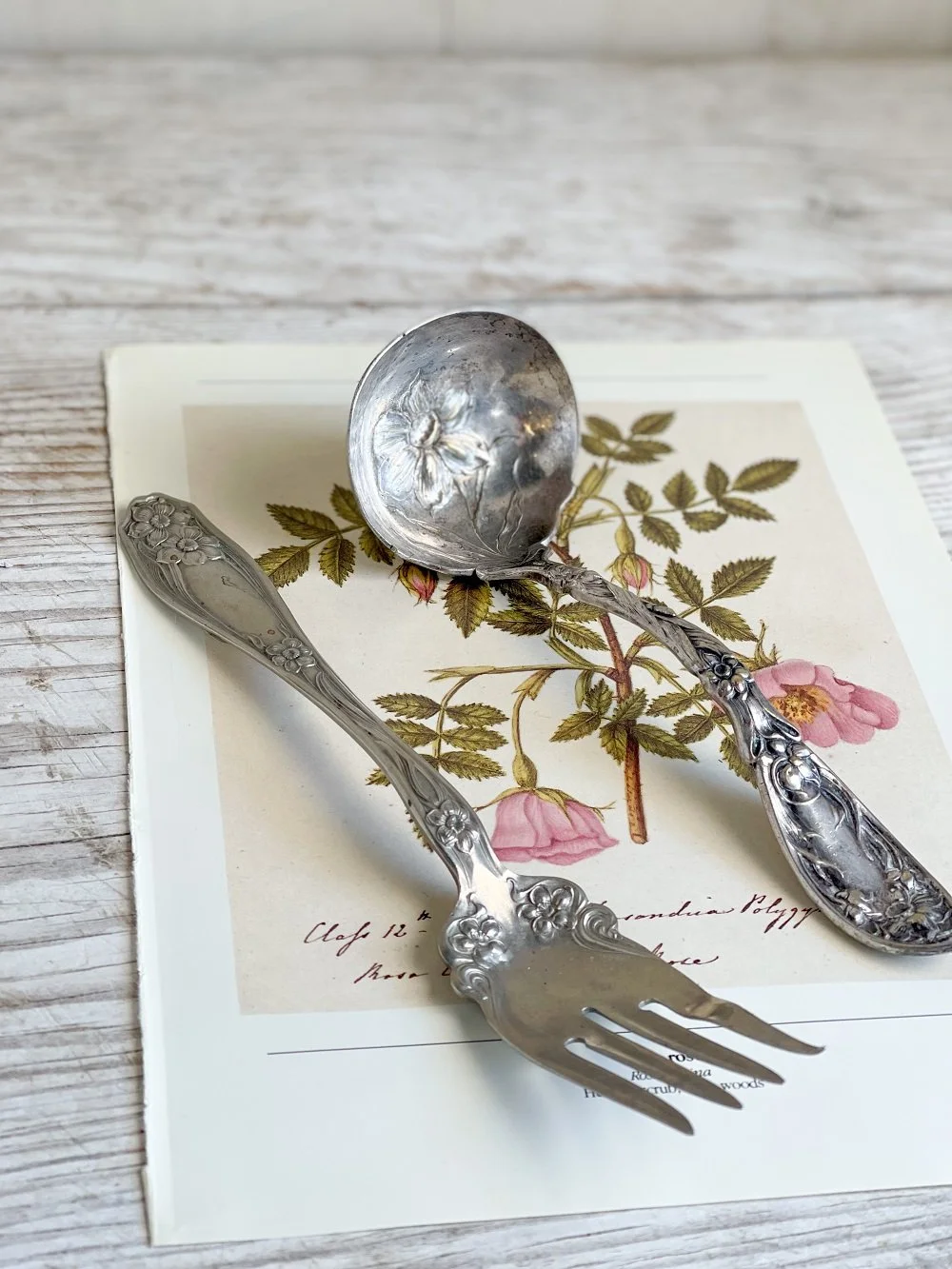 Vintage Home Decor | Curated French Antiques | Gifts for the Home