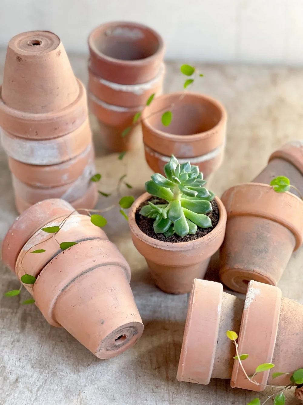 Petite Vintage Terracotta Plant Pots
