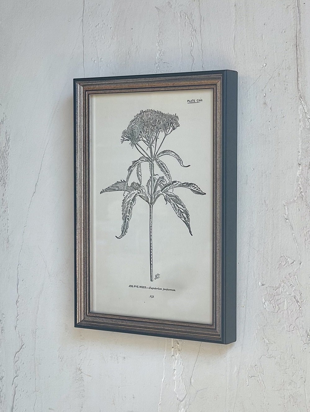 Old Lithograph Prints