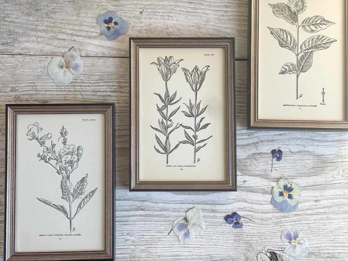 Old Lithograph Prints