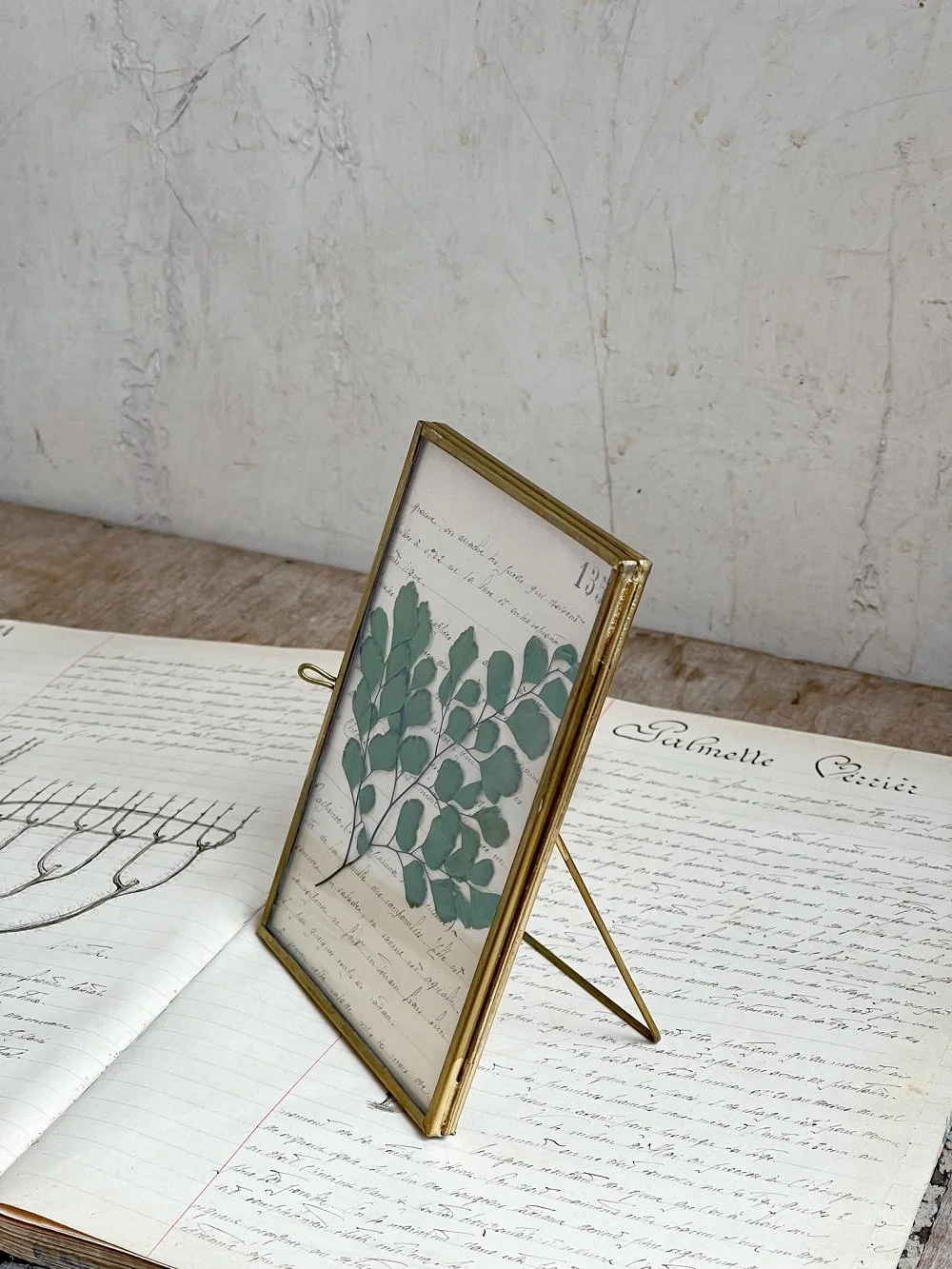 Framed Botanical Pressed Fern with Antique French Hand-Written Paper ...