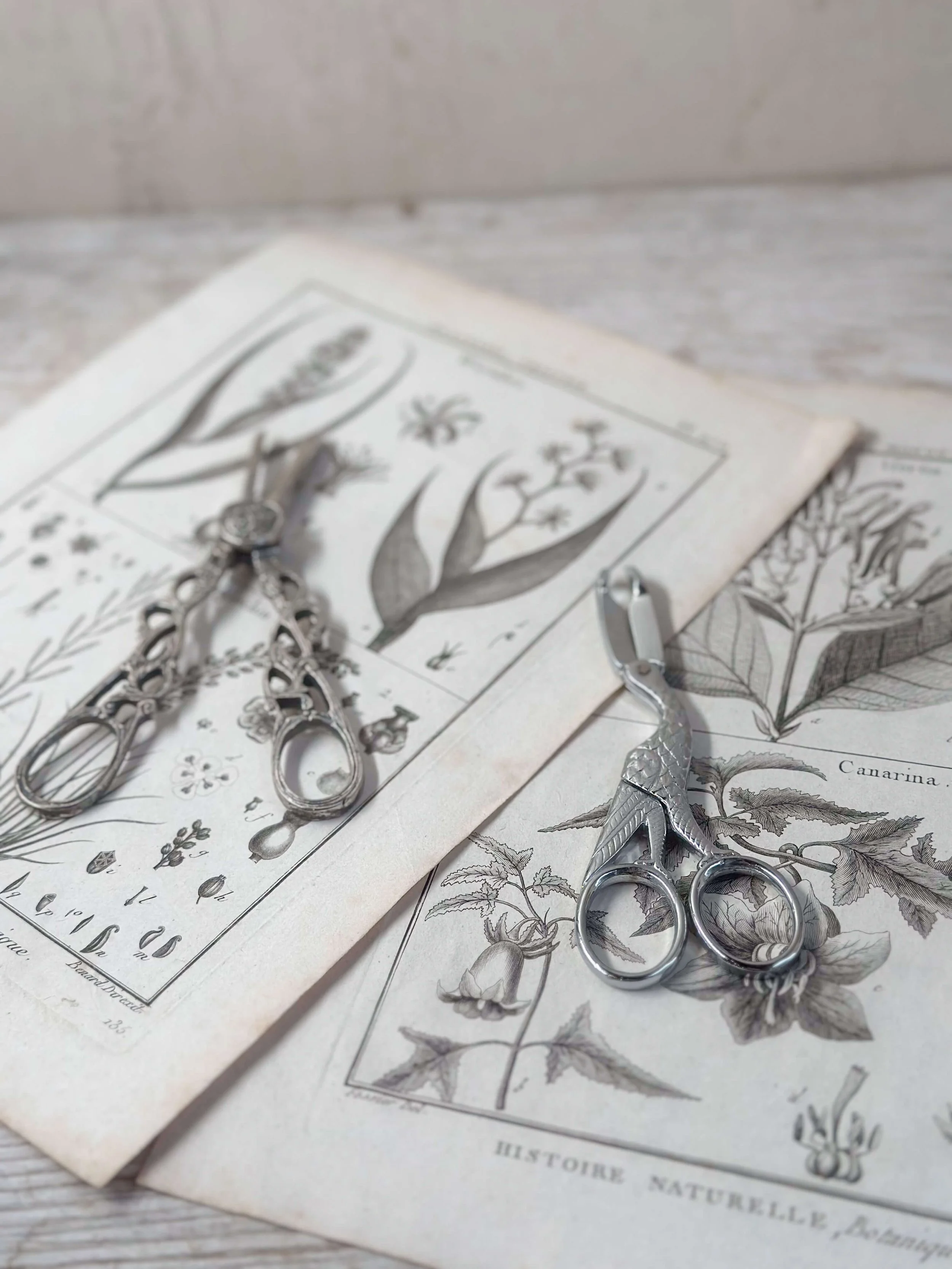 Vintage French Decor for Home and Garden | Antiques from France