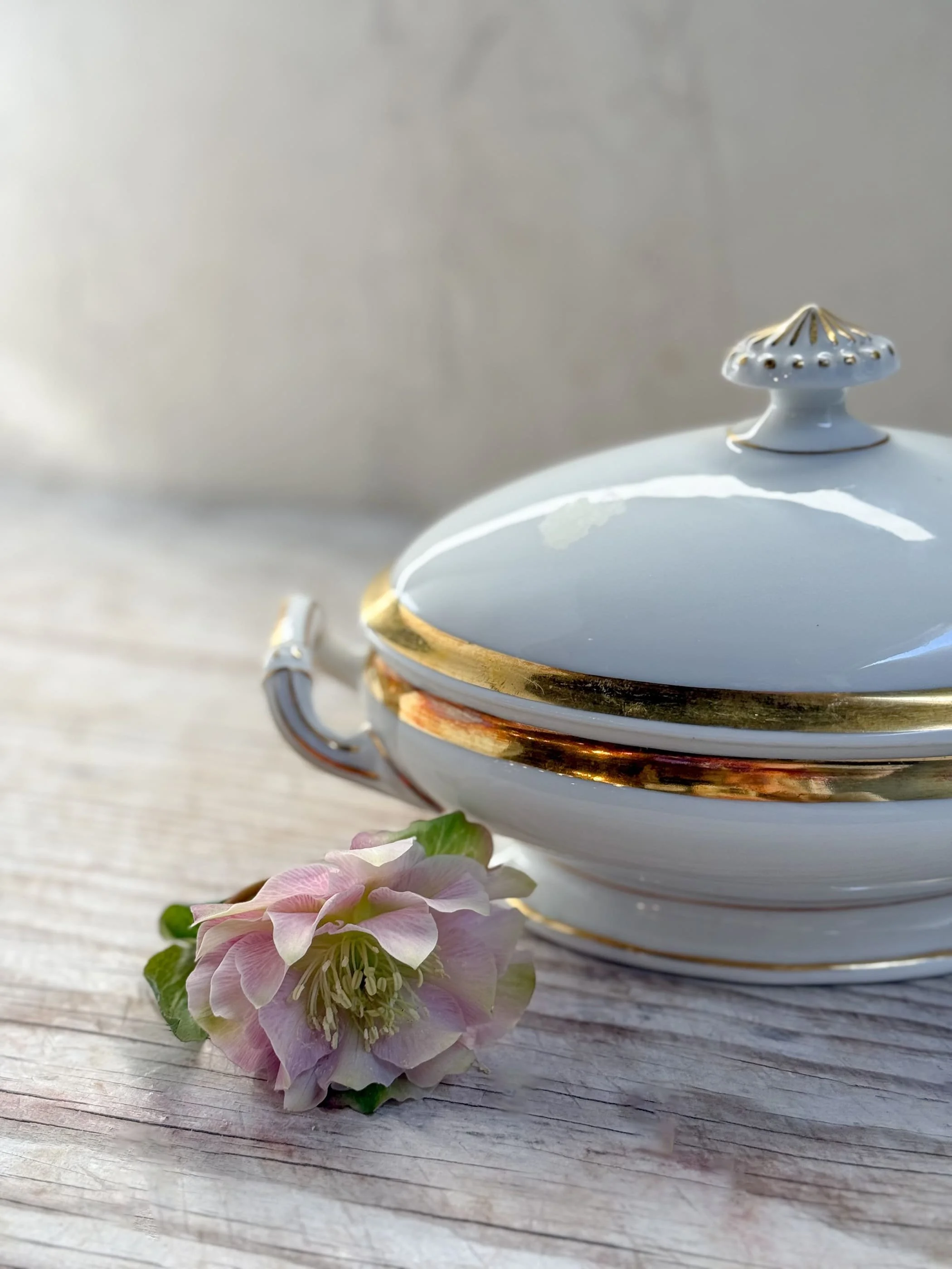 Vintage French Decor for Home and Garden | Antiques from France