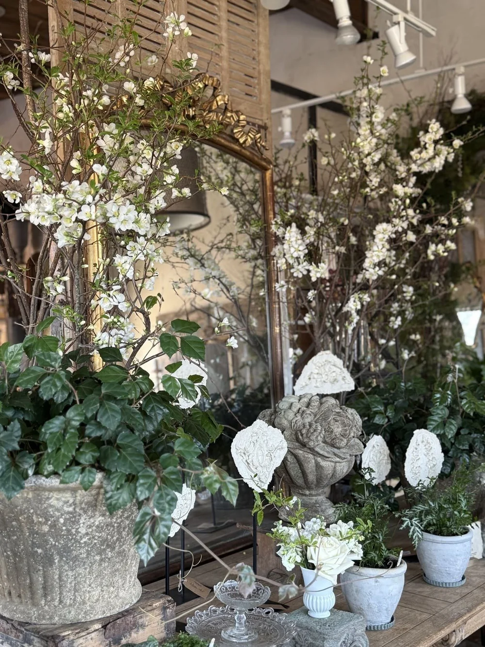 Flowering Branches