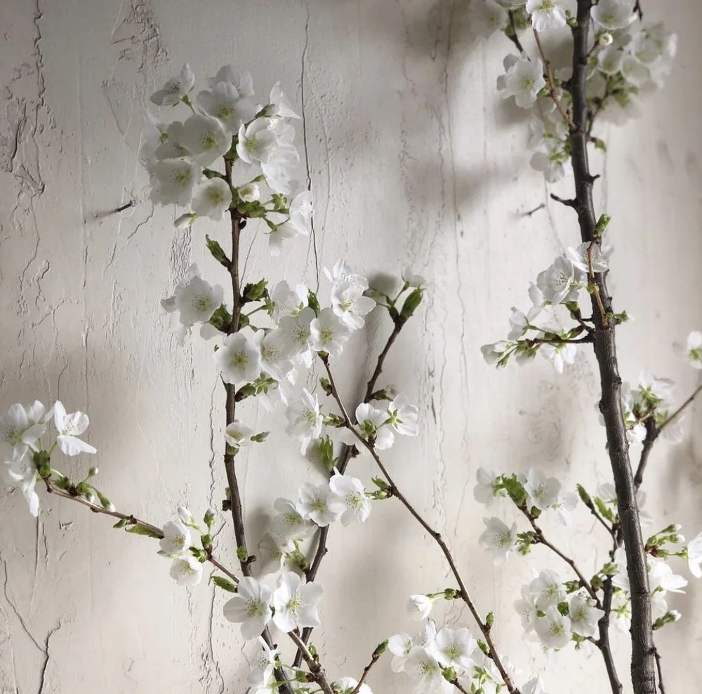 Flowering Branches