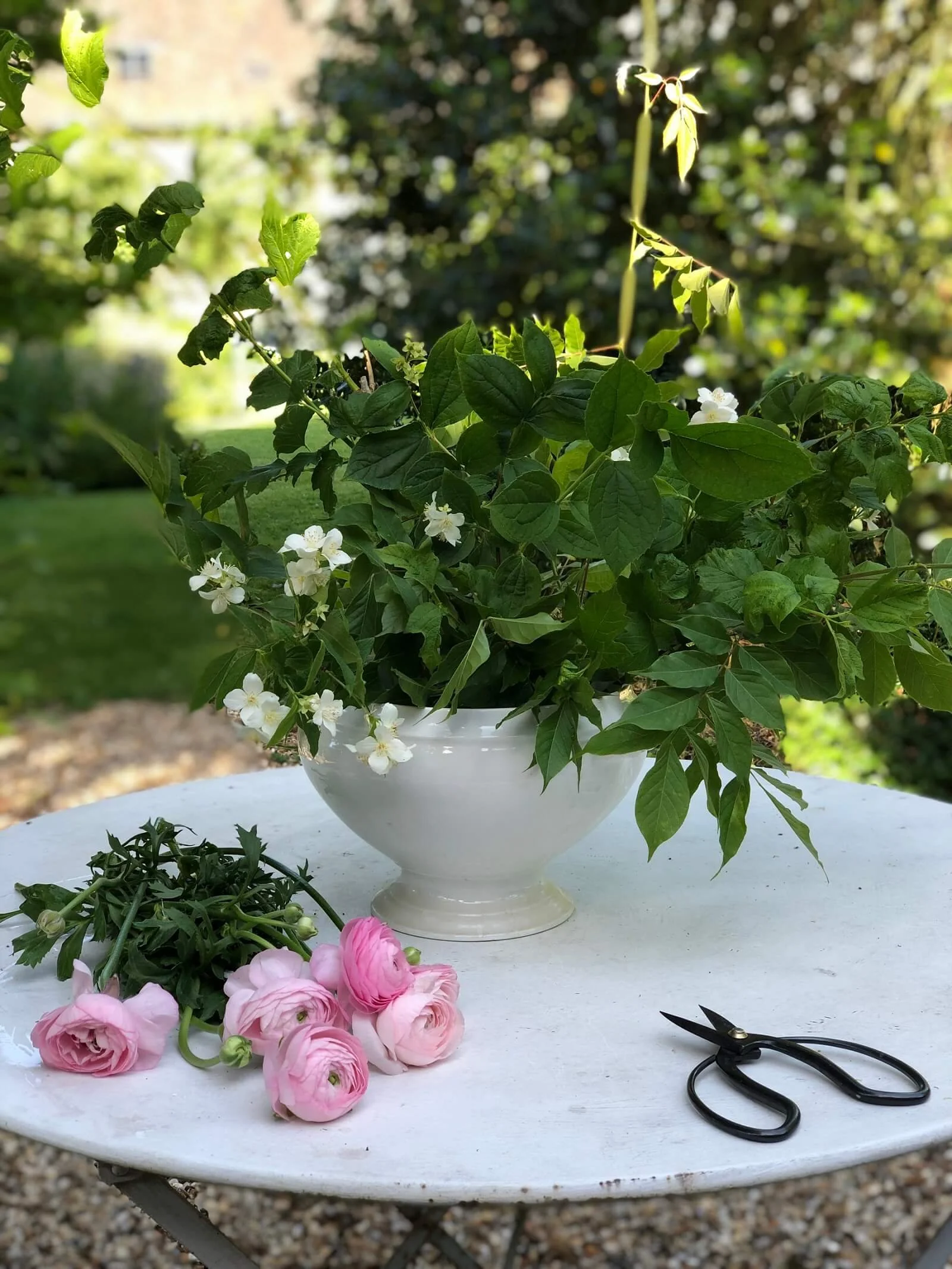 French Blooms: Fun Facts Behind the Book