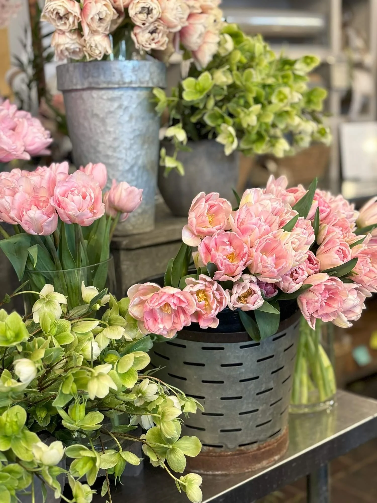Interview with Vermont Tulip Farmer Emily Von Trapp