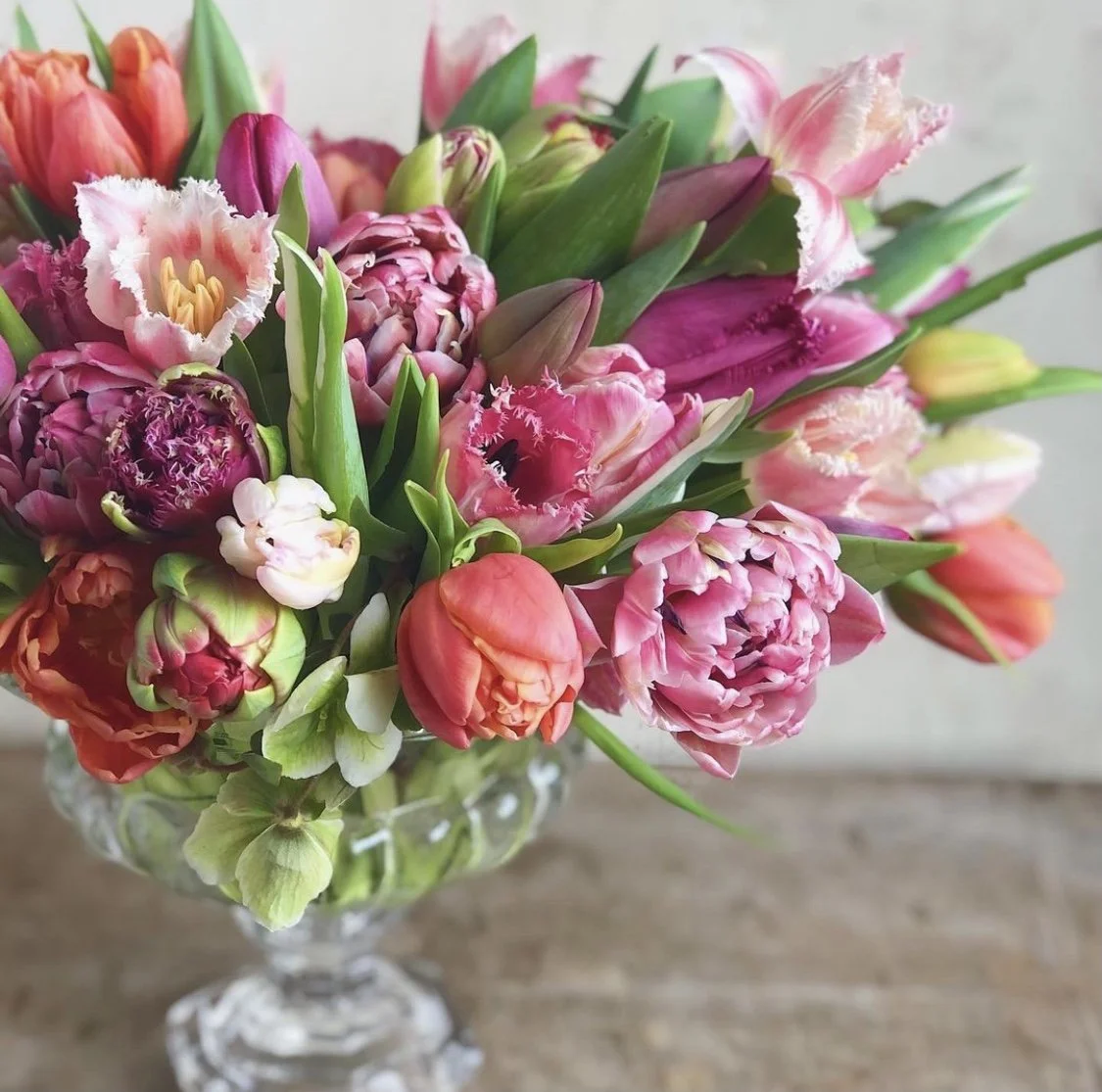 Interview with Vermont Tulip Farmer Emily Von Trapp