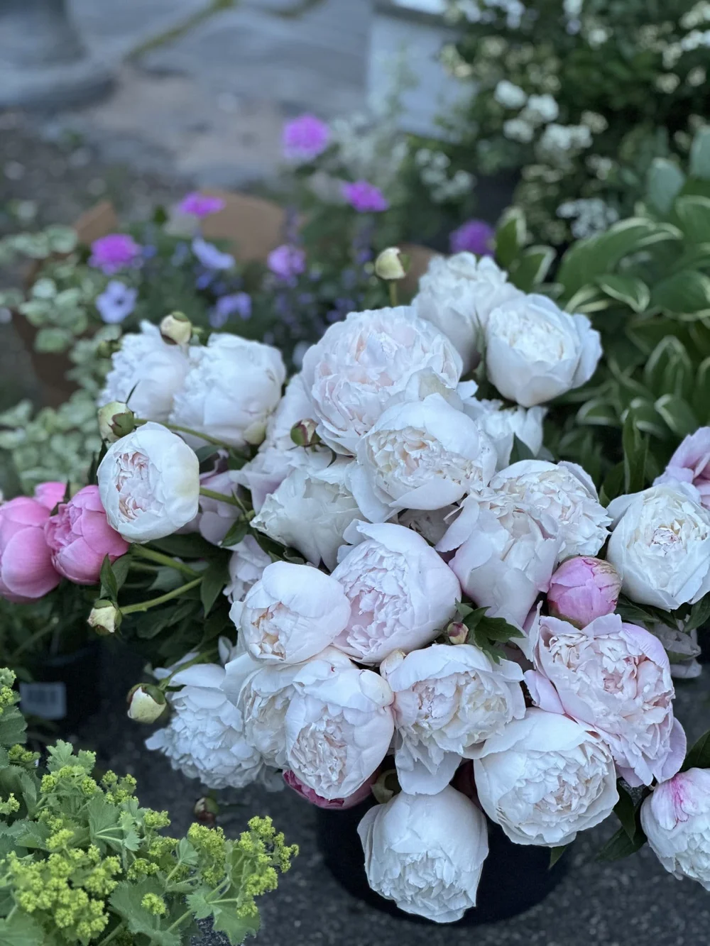 Peony Floral Arrangement Tutorial