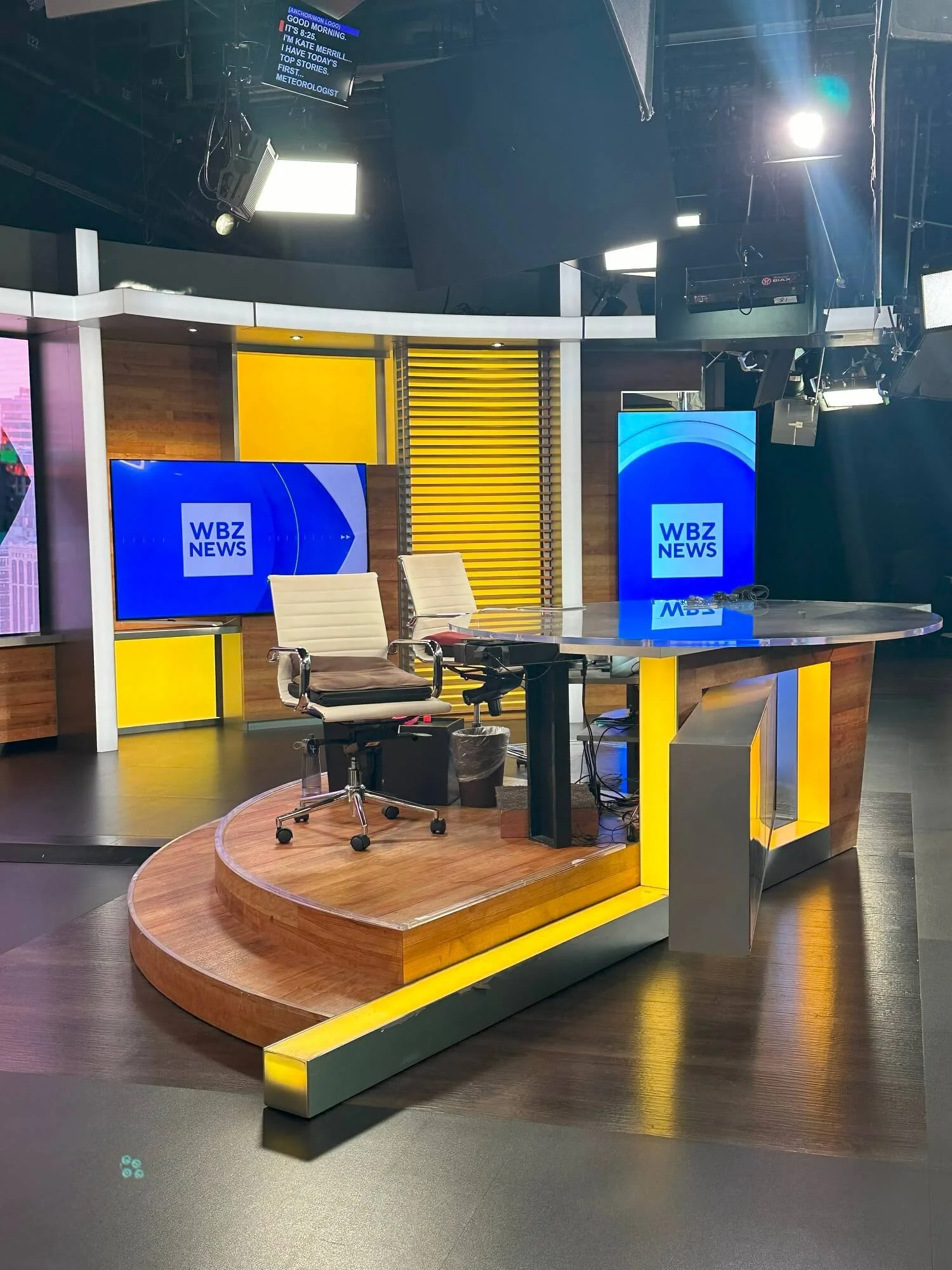 CBS Boston New England Living Features Sandra Sigman