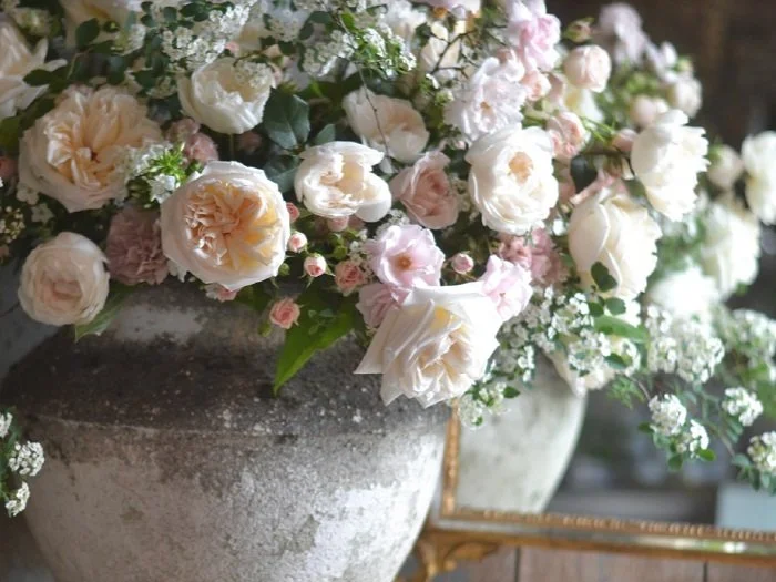 Talbot County Garden Symposium