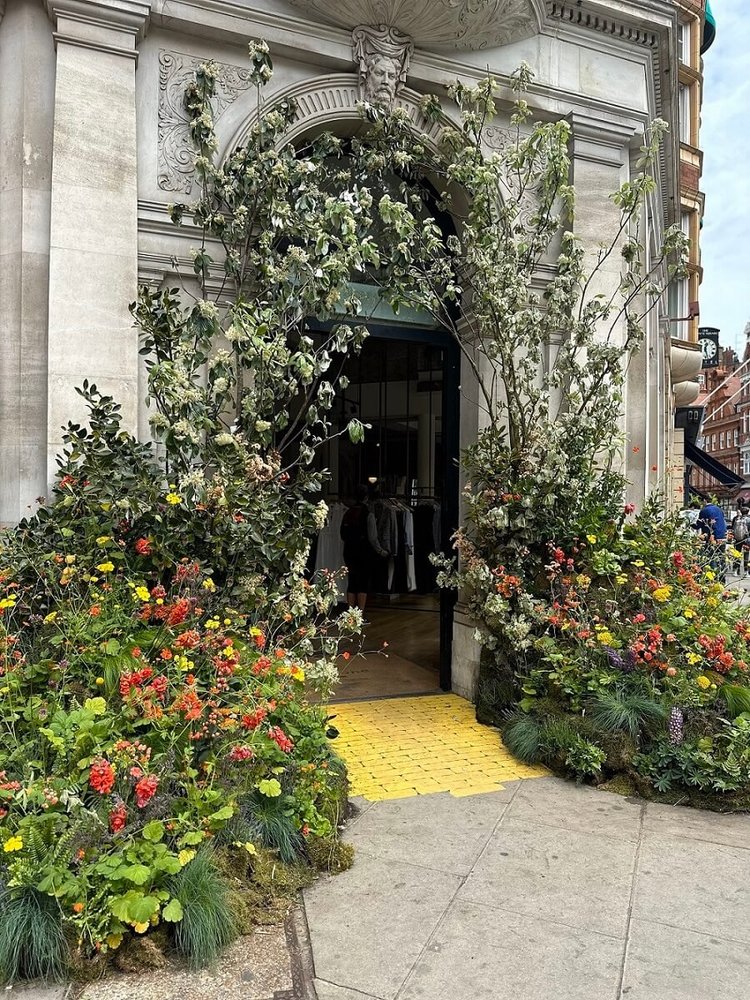 My Unforgettable Trip to the Chelsea Flower Show