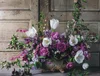 Creating the Book Cover for French Blooms - By Sandra Sigman