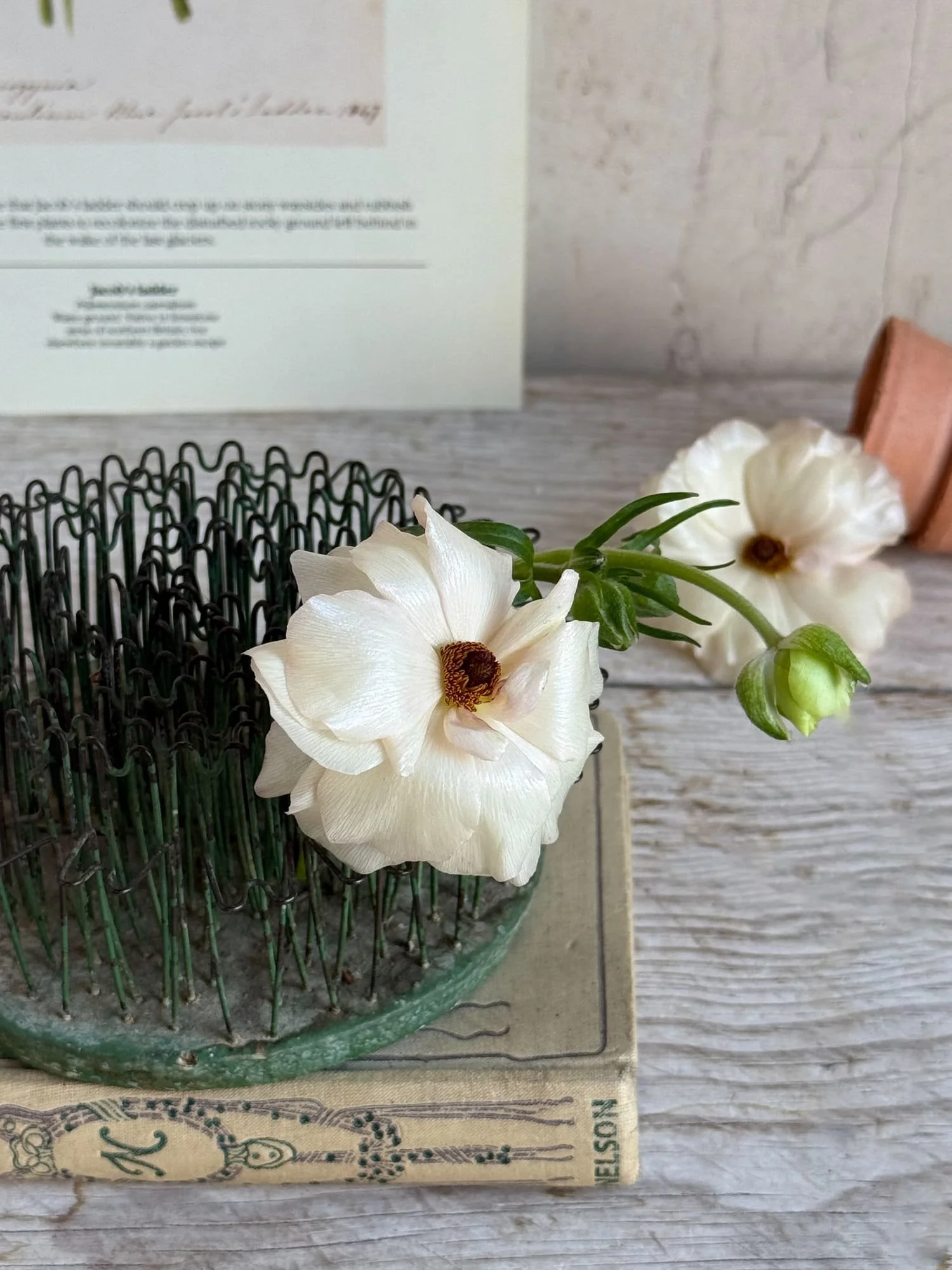 Rare Vintage Hairpin Flower Frogs | Blue Ribbon Floral Arranging Wire ...