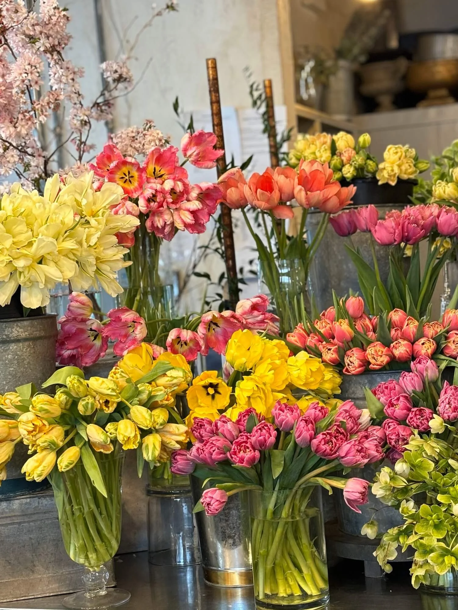 Interview with Vermont Tulip Farmer Emily Von Trapp