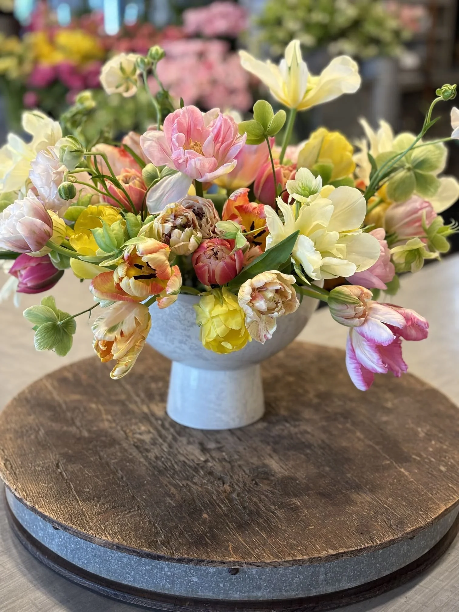 Interview with Vermont Tulip Farmer Emily Von Trapp