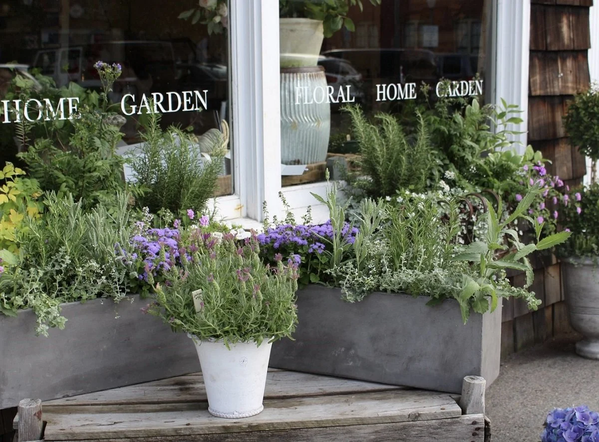 Florist In Andover Ma