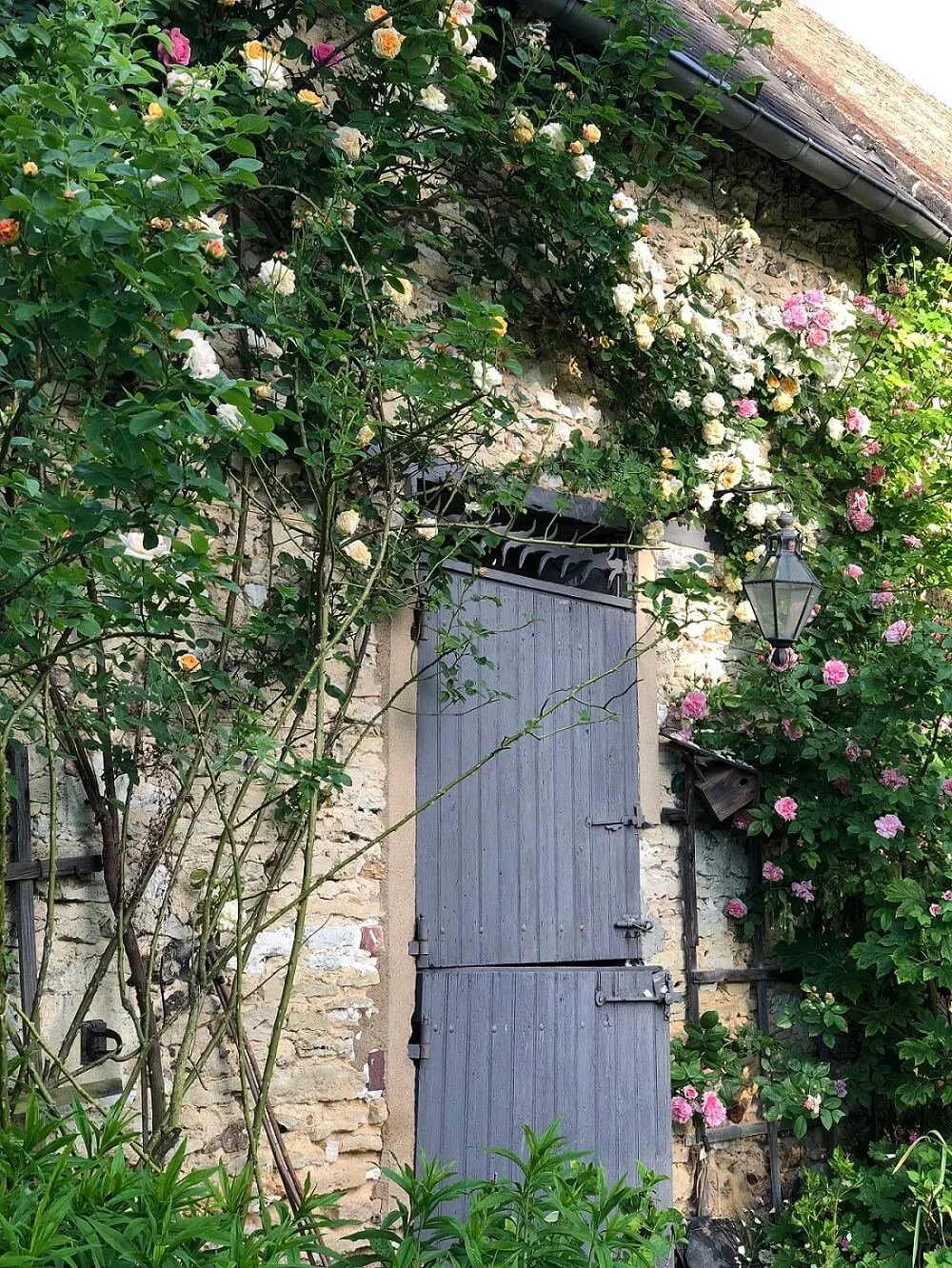 French Blooms: Fun Facts Behind the Book