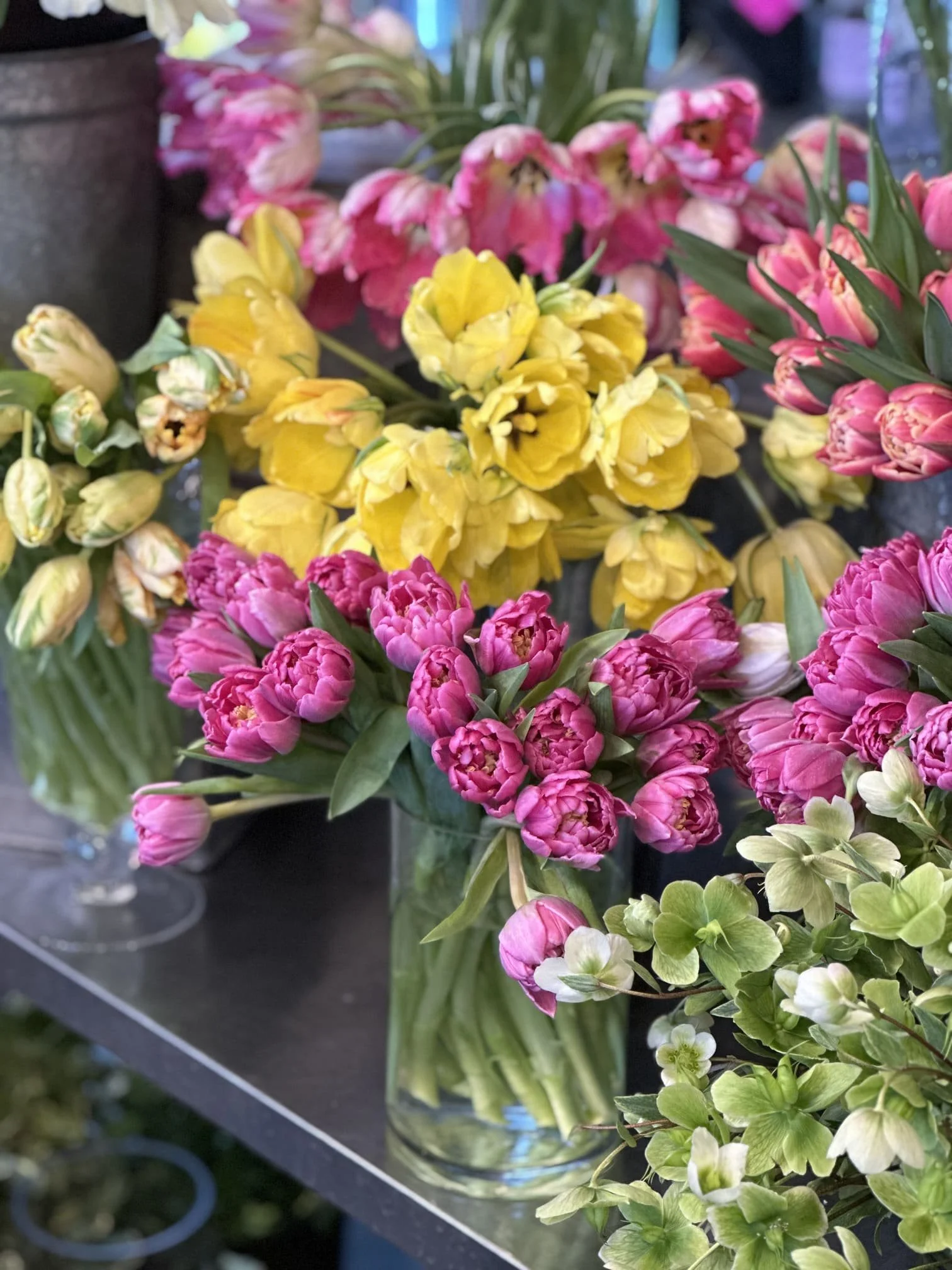 Interview with Vermont Tulip Farmer Emily Von Trapp