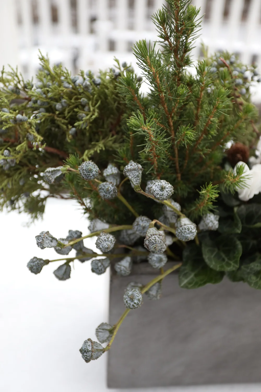 A Warm Welcome Home with Winter Greenery
