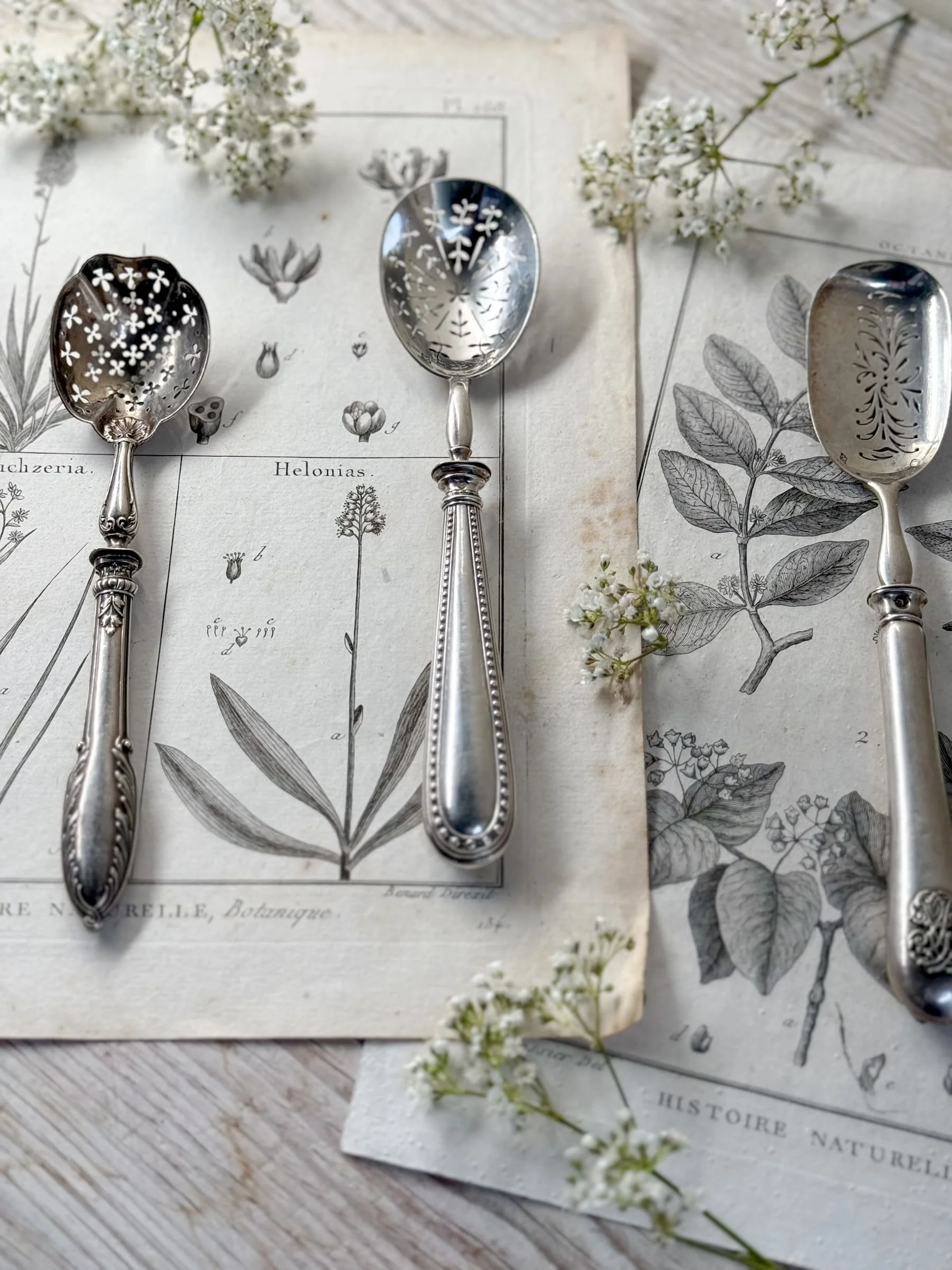 Vintage French Decor for Home and Garden | Antiques from France