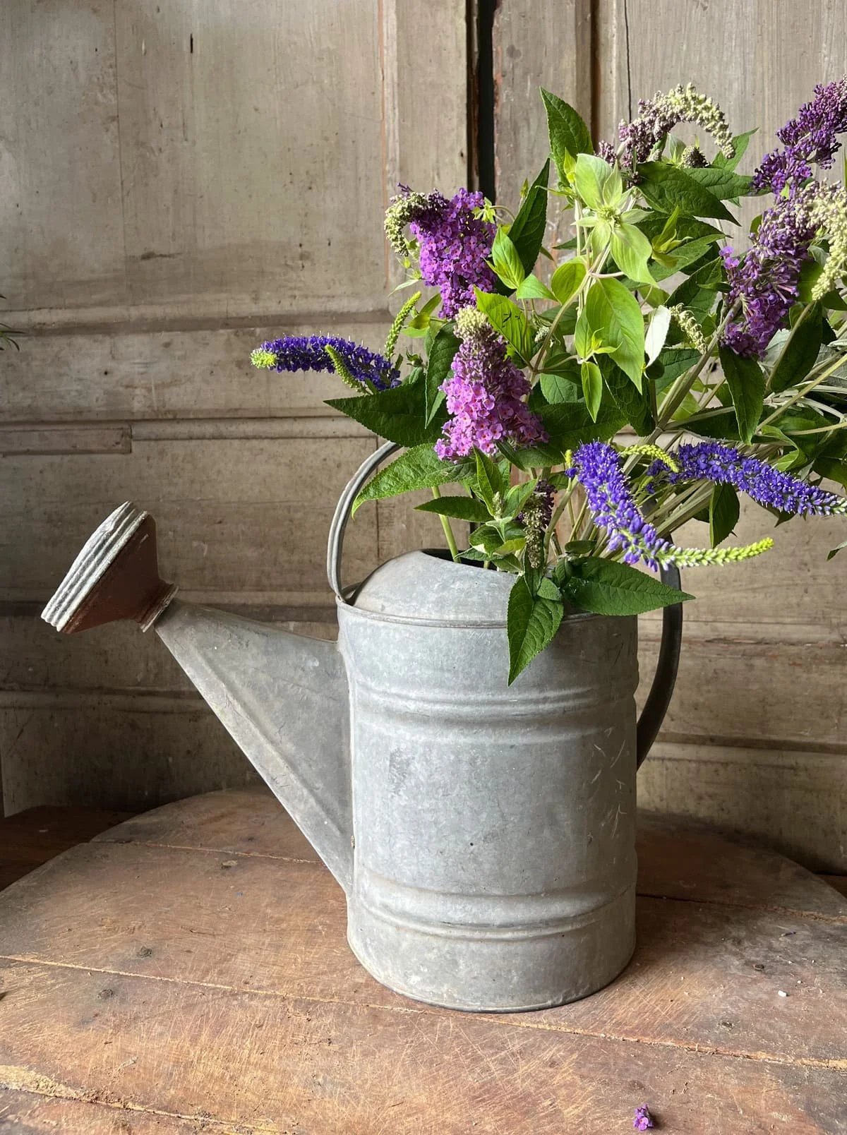Vintage Galvanized Zinc Watering Can - Rustic Garden Decor