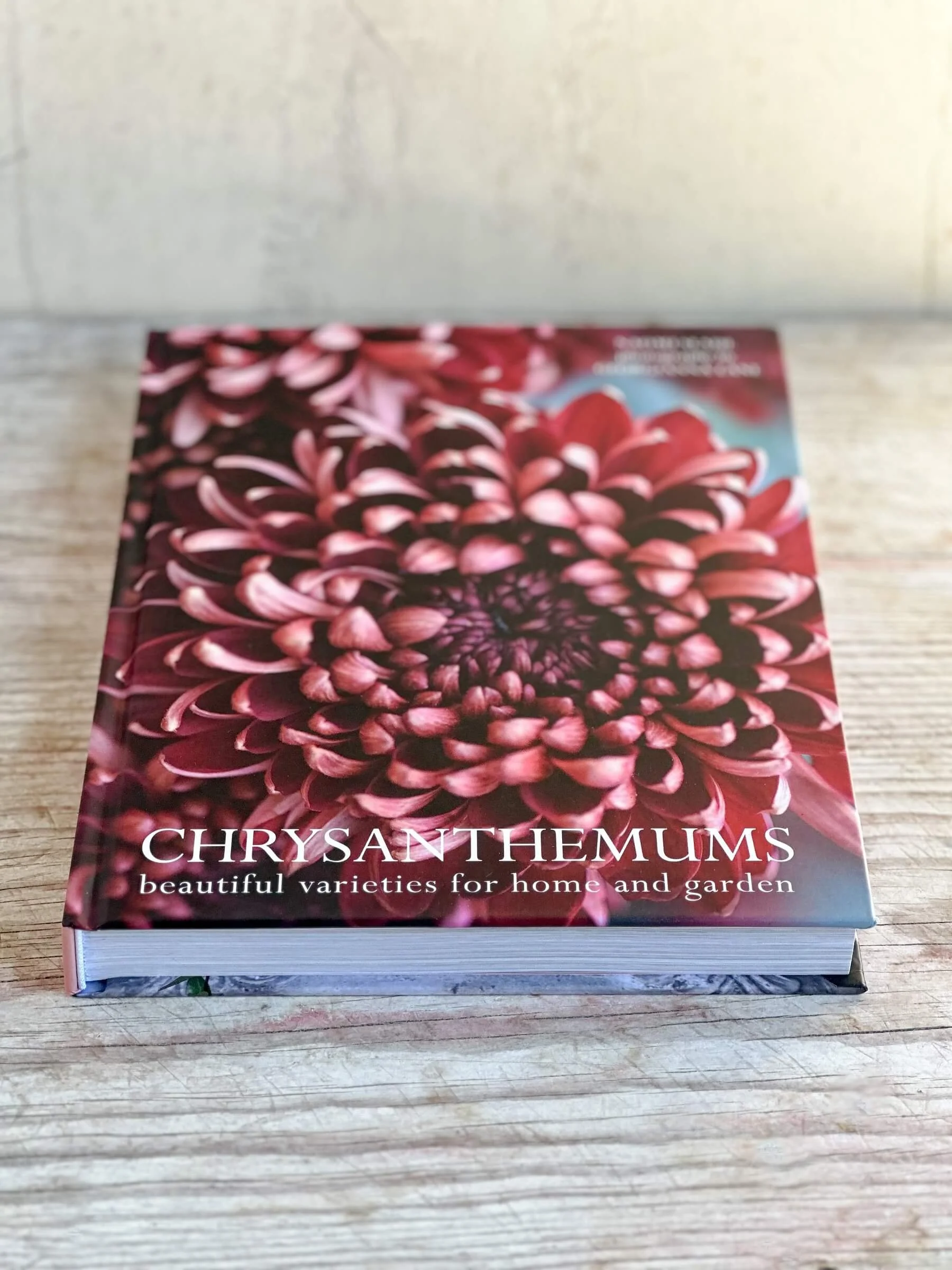 Chrysanthemums Book | Les Fleurs Floral Home & Garden Shop