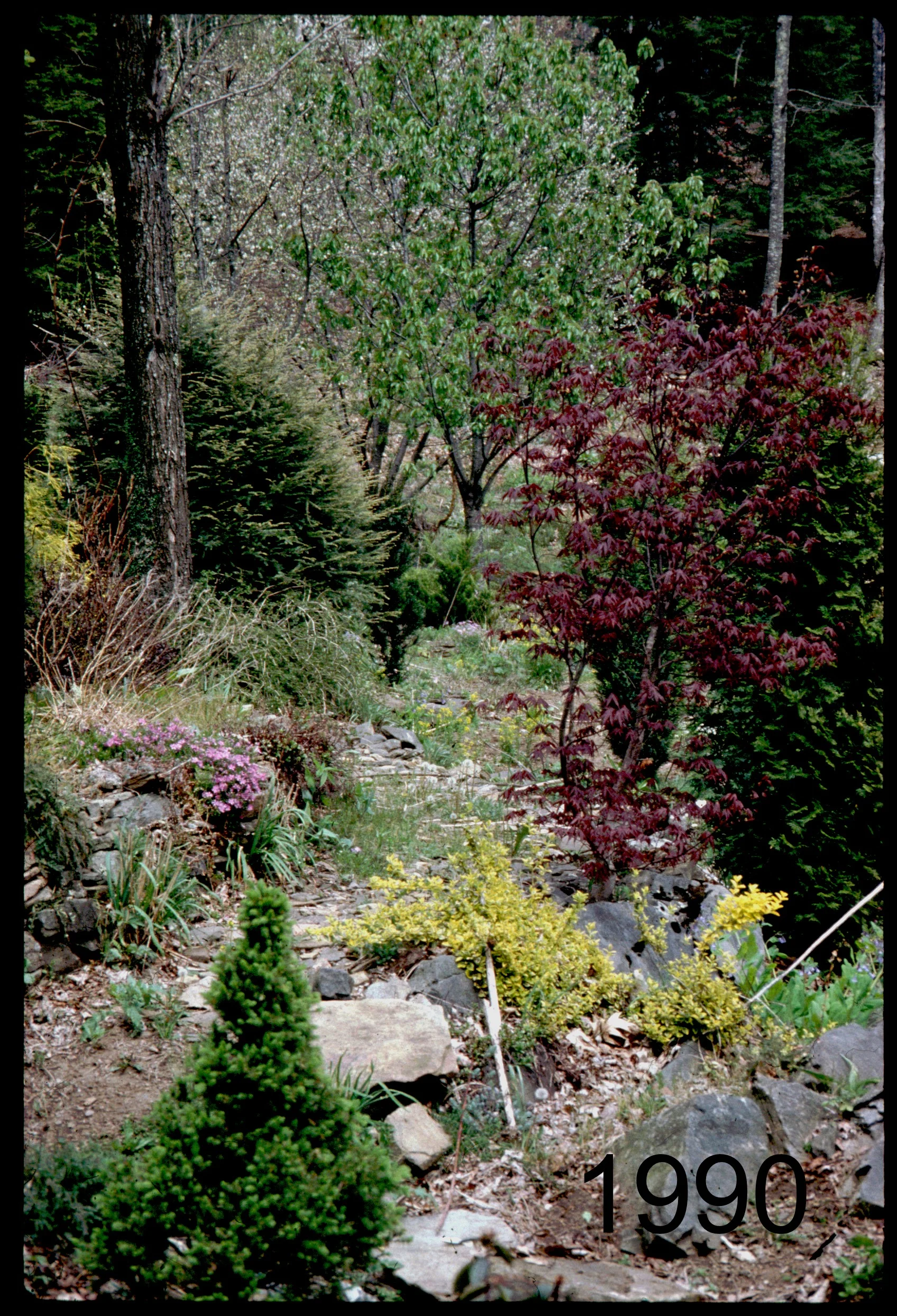 Beautiful Mountain Gardens