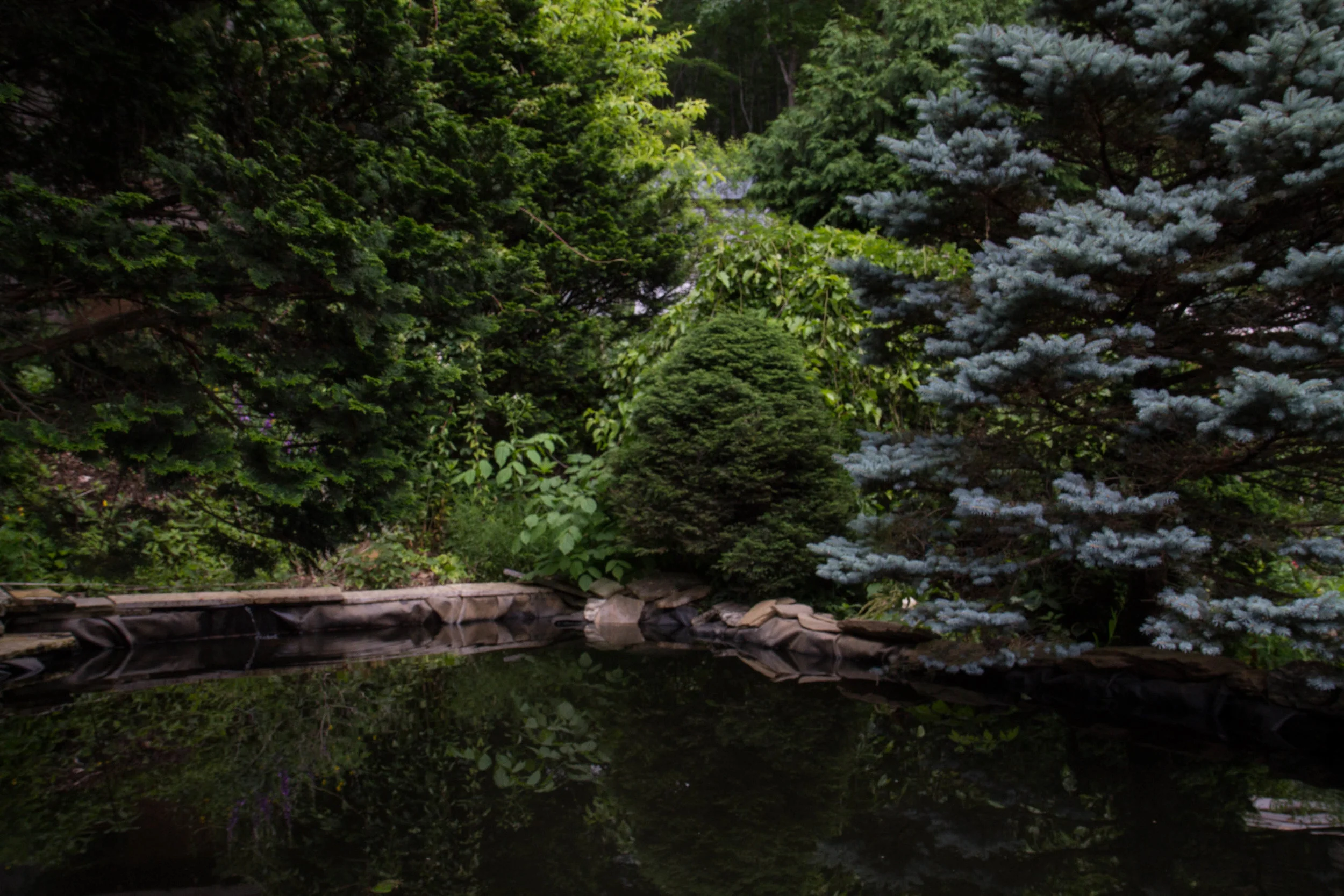 Beautiful Mountain Gardens