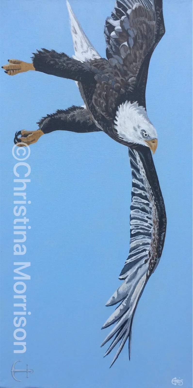 Christina Morrison - Artist