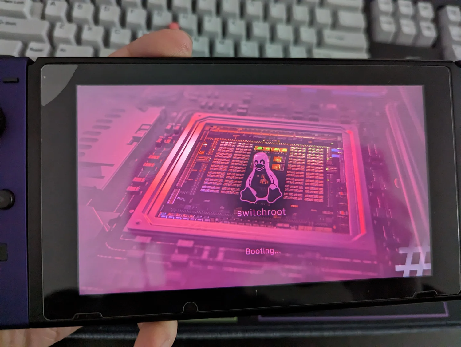 Linux on My Nintendo Switch — Alex Seibz' Site
