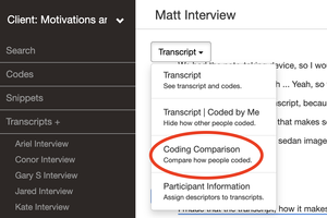 What is Coding Reliability in Thematic Analysis? — Delve