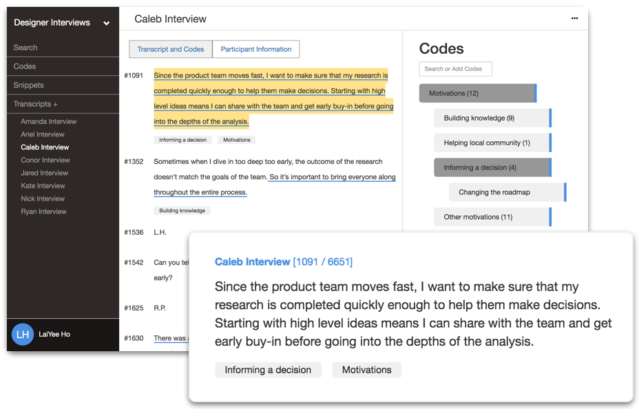 Coding Software Delve