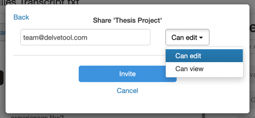 How to Do Thematic Analysis in Qualitative Research — Delve