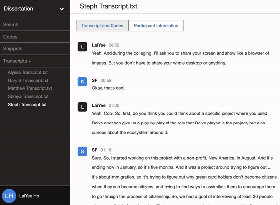 What are Analytical Memos? — Delve