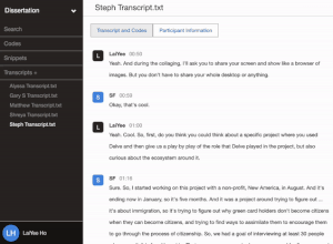 What are Analytical Memos? — Delve