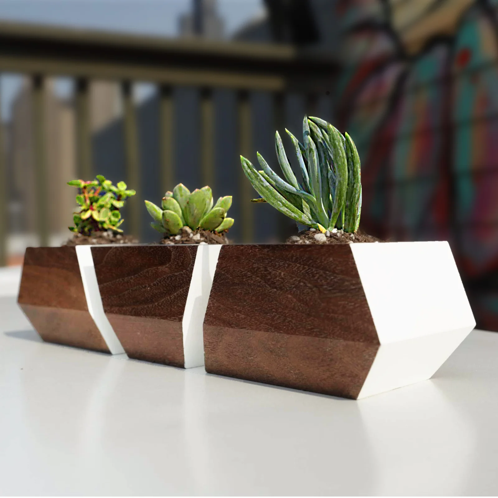 How to Make Simple DIY Geometric Succulent Planters — MODUSTRIAL MAKER