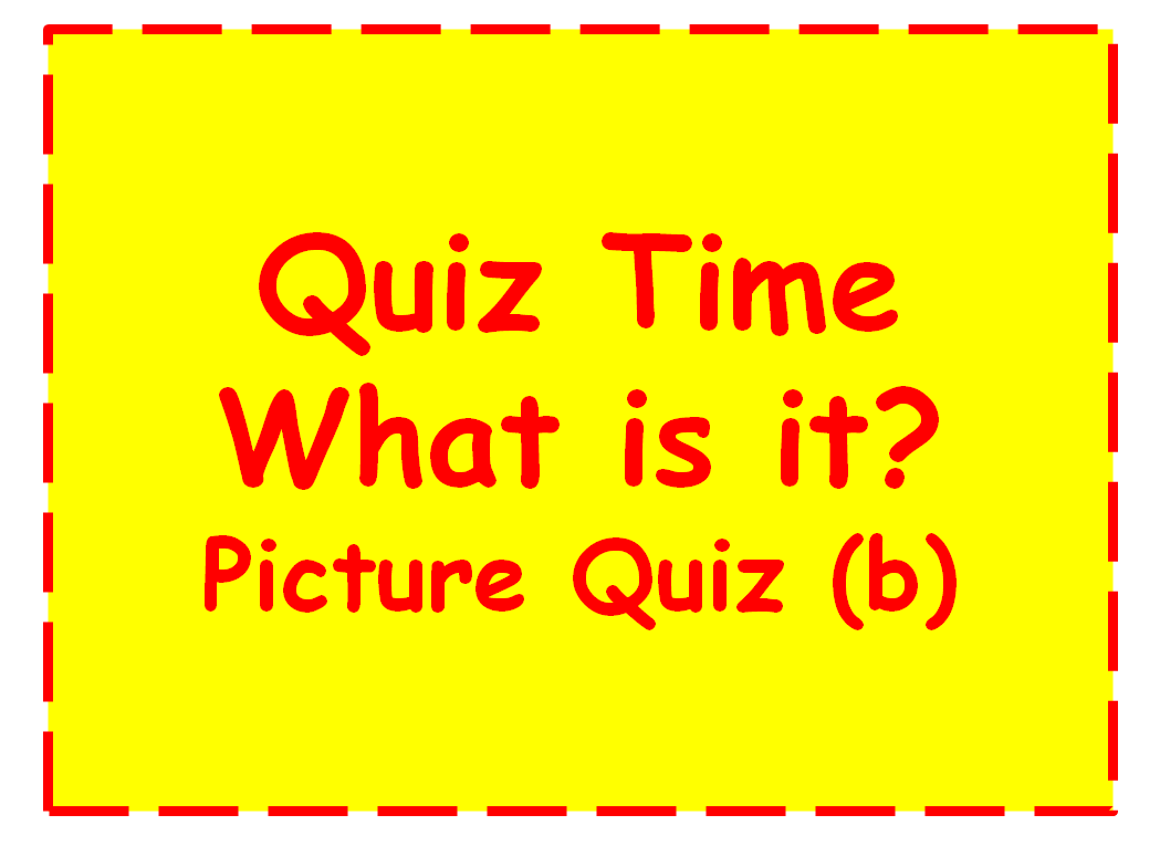 Quiz 5 - 'What is it' - from part pictures — Impact Kids