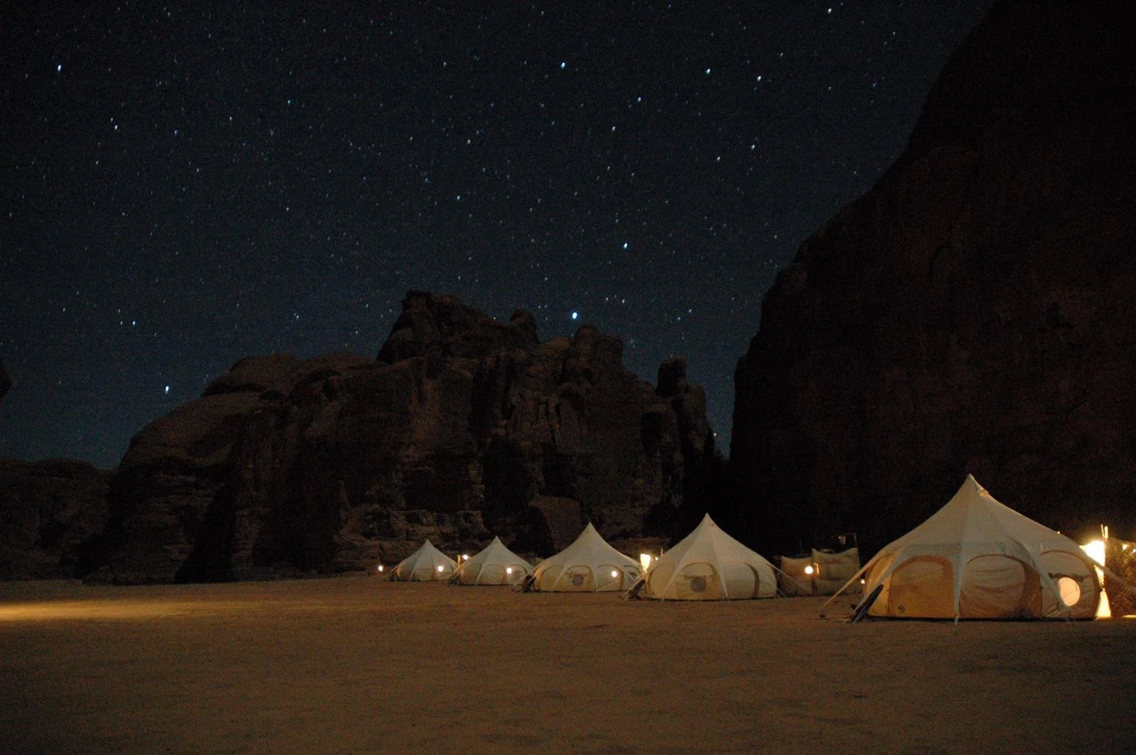 Nicola Shepherd — Meet The Leader