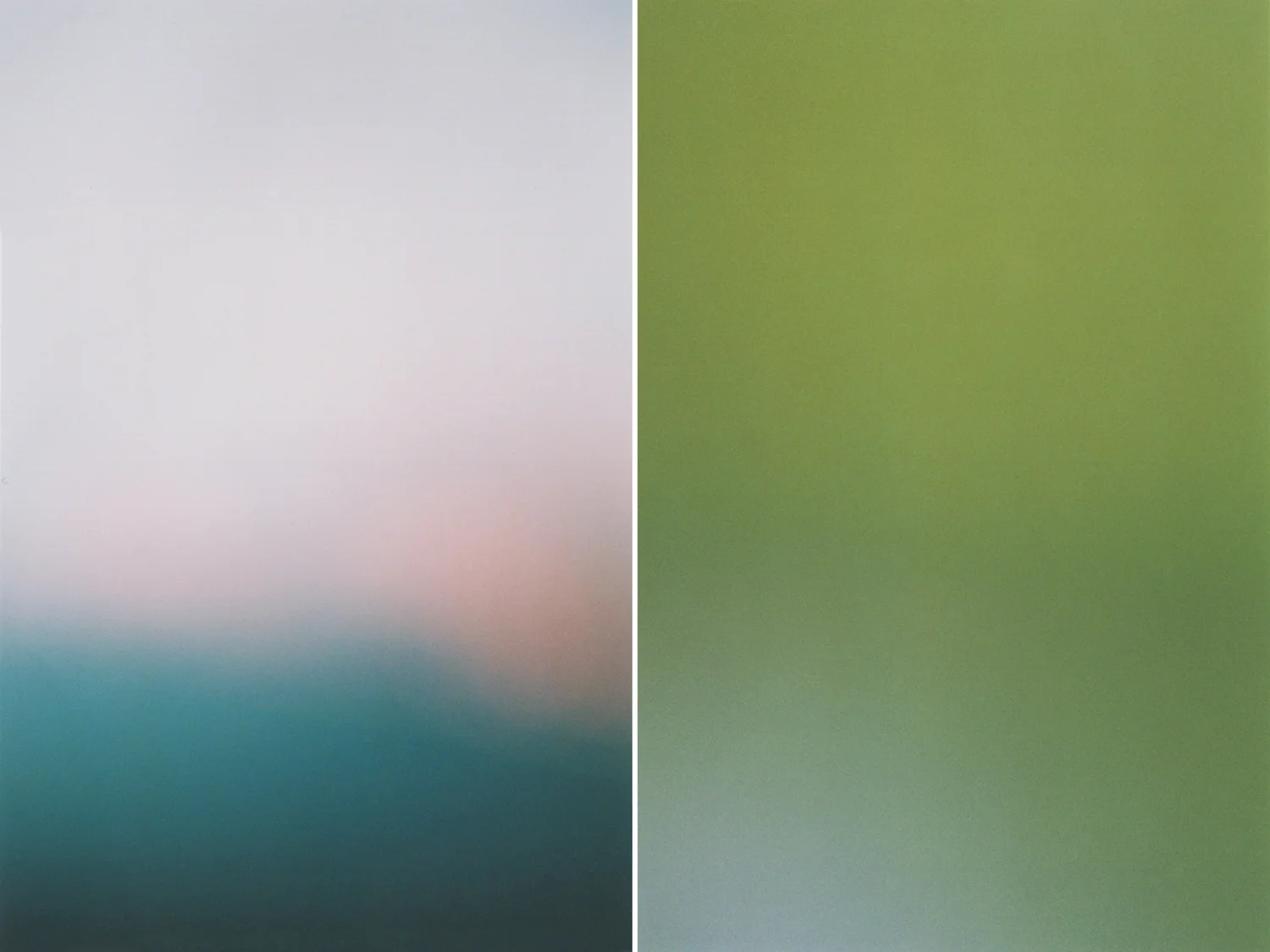 TRANSITION — New Zealand, 2012 — Sarah Sandler