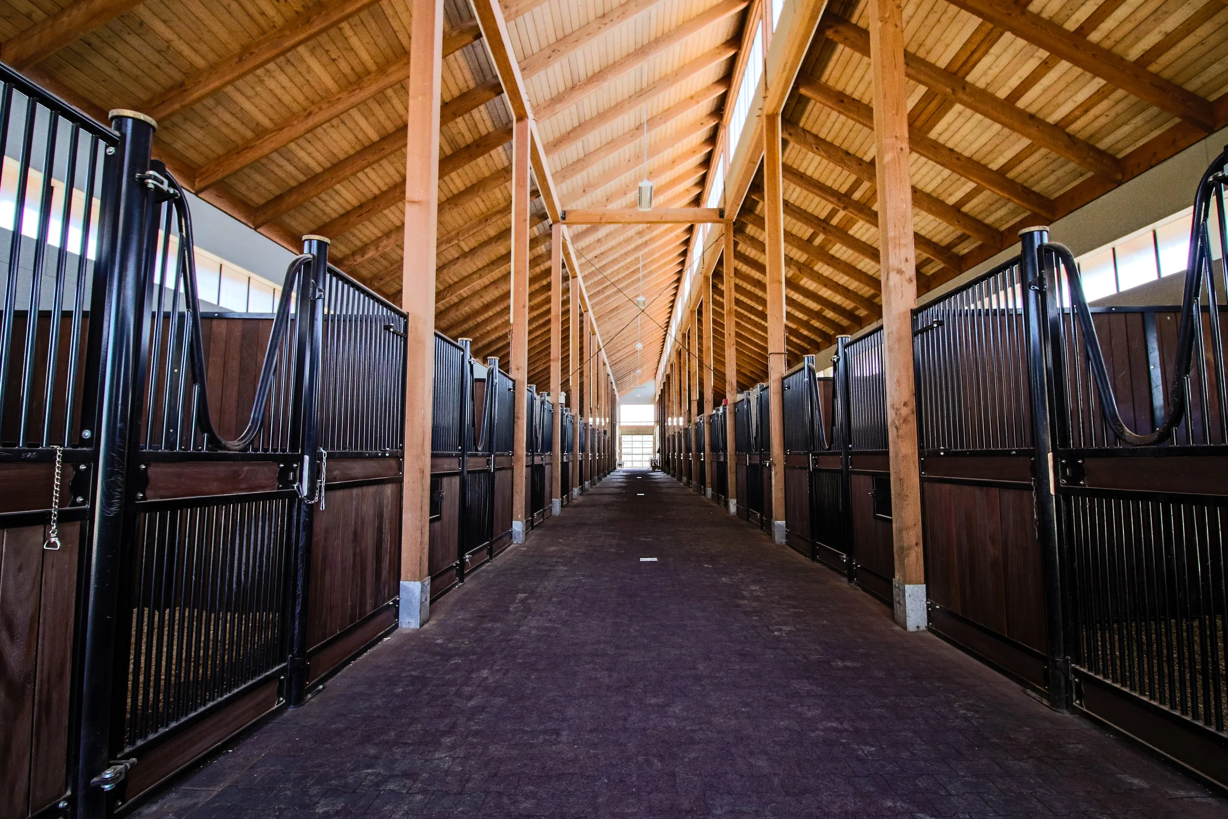 Show Jumping — Fordville Farm