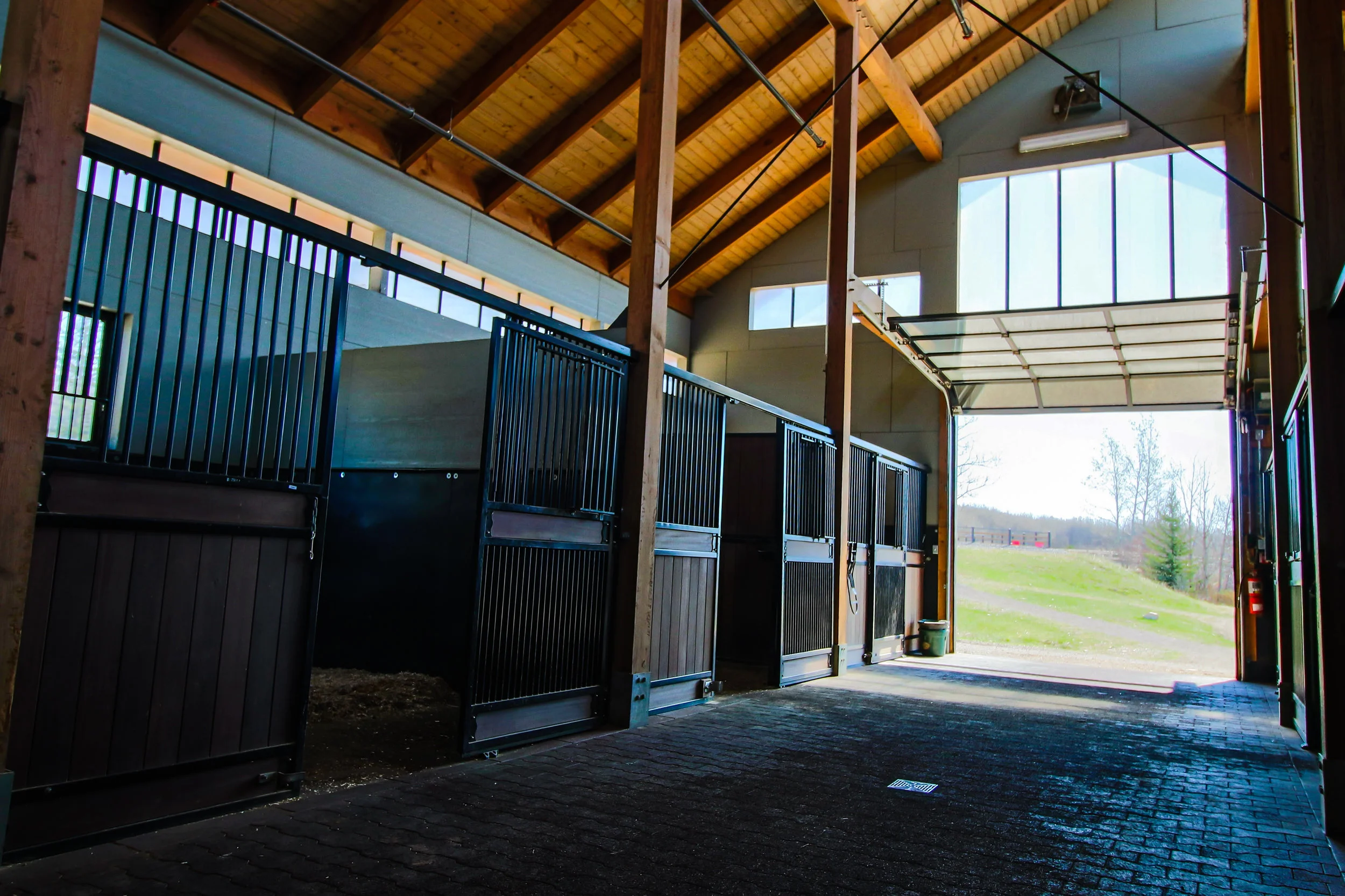 Show Jumping — Fordville Farm